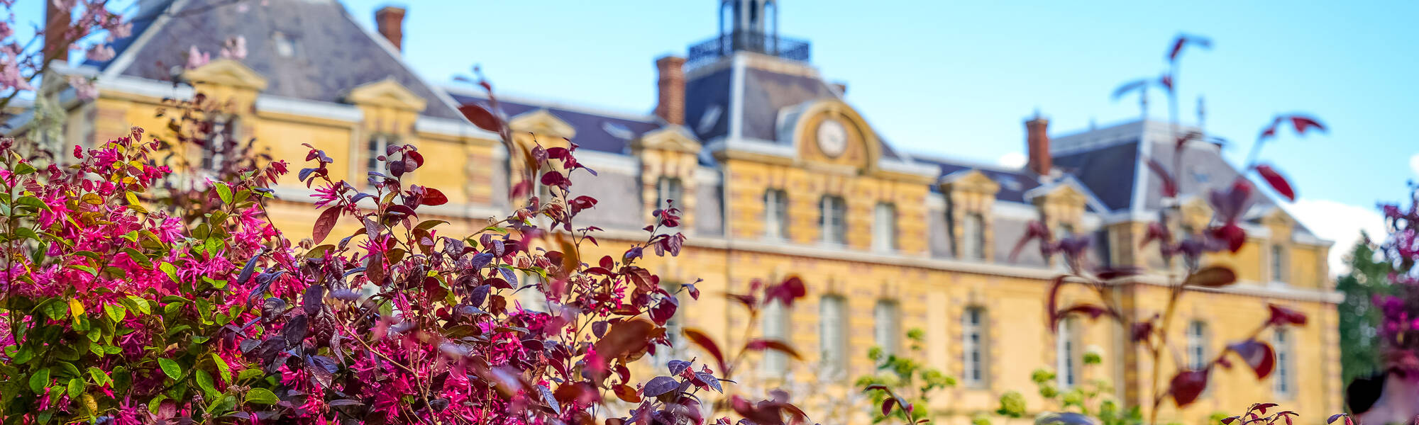 Accueil | Ville de Savigny-le-Temple